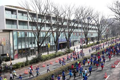 Run Japan | Your Gateway to Marathons in Japan